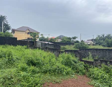 Aguimmo | Terrain à vendre Conakry Tomboliah / Matoto