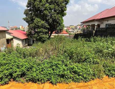 Aguimmo | Terrain en vente Conakry Kobaya/Ratoma