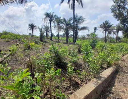 Aguimmo | Terrain clôturé à vendre Forécariah Moribayah